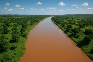 The Niger River: History, Culture, and Natural Wonders